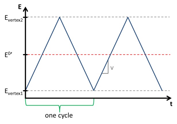 Cyclic Voltammetry 2/4- What is a Cyclic Voltammogram? - PalmSens